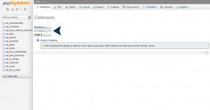 How to Optimize WordPress Database Using PhpMyAdmin – GetHow